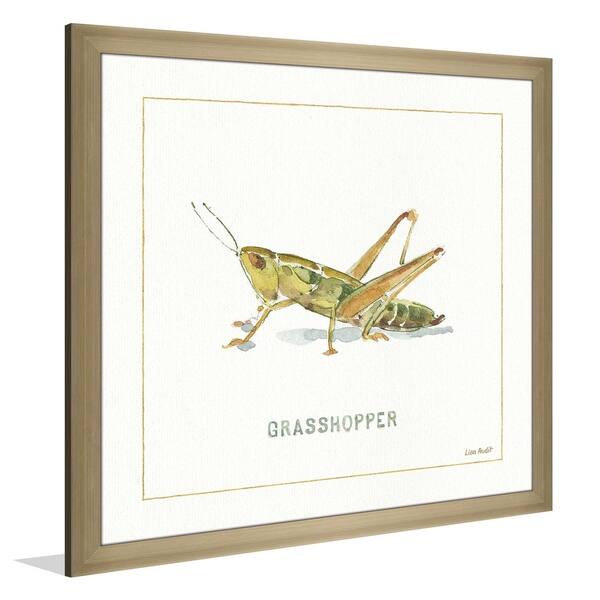 Lisa Audit "My Greenhouse Grasshopper" Framed Plexiglass Wall Art - Bed ...