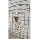 Katerina Torch - Bed Bath & Beyond - 20582209