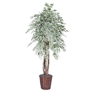 Vickerman 6' Green Maple Everyday Tree - Bed Bath & Beyond - 20694765