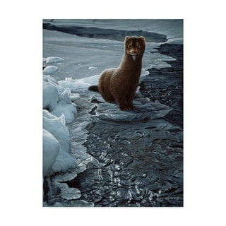 Ron Parker 'Icy Creek Mink' Canvas Art - Bed Bath & Beyond - 20769267
