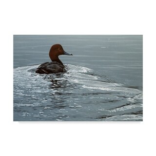 Ron Parker 'Silver Wake Redhead' Canvas Art - Bed Bath & Beyond - 20769476