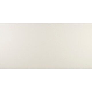 Contemporary Cement Visual 24x48-inch Unpolished Floor Tile in Stark ...