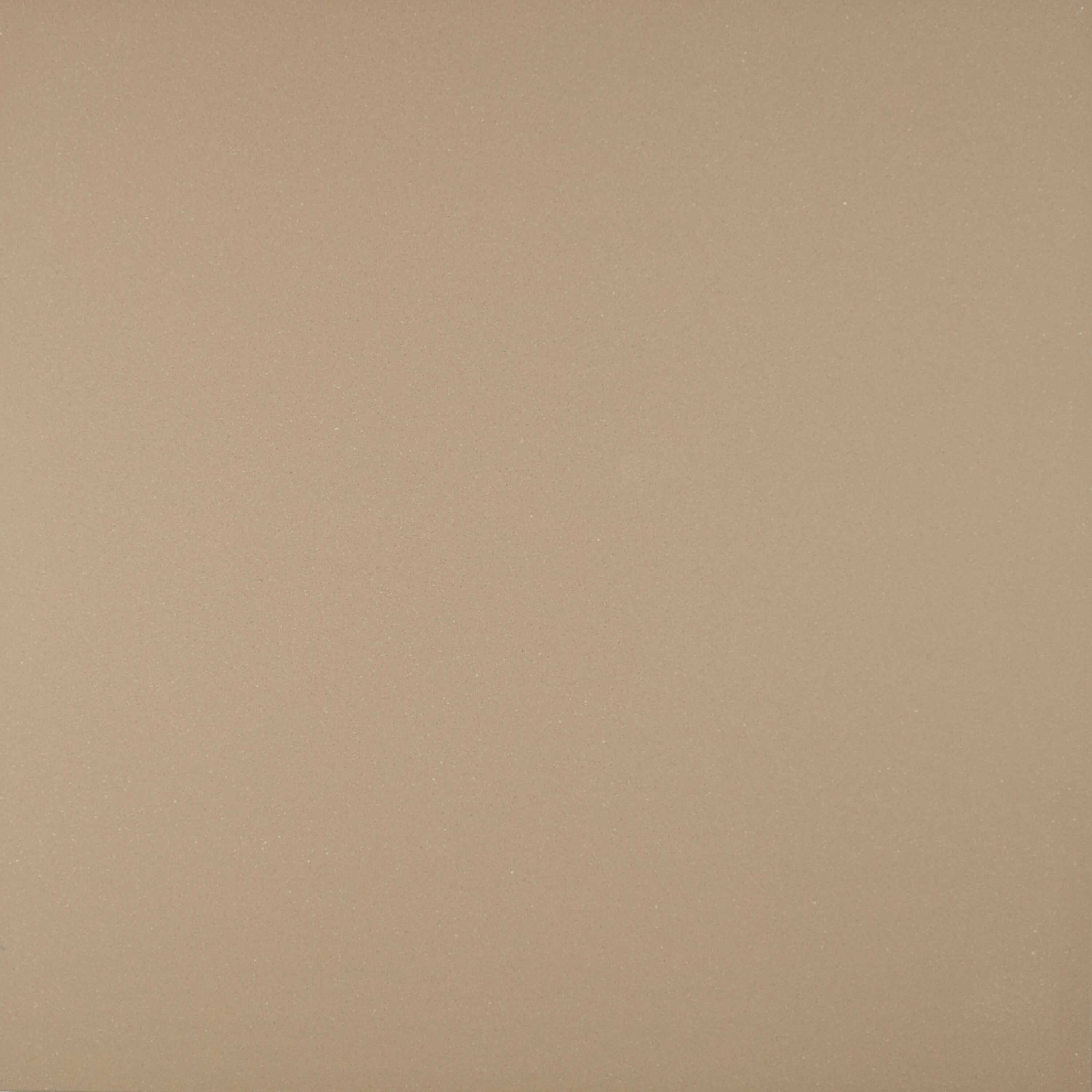 Contemporary Cement Visual 12x24-inch Unpolished Floor Tile in Tailor ...