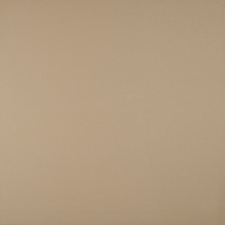 Contemporary Cement Visual 12x24-inch Unpolished Floor Tile in Mode ...