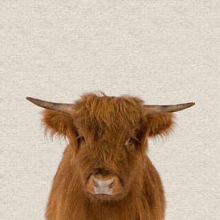 'Sleepy Buffalo' Painting Print on Wrapped Canvas - Bed Bath & Beyond ...