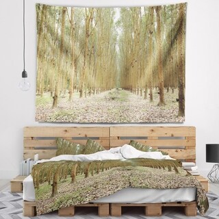 Designart 'Rubber Trees Row in Thailand' Modern Forest Wall Tapestry ...