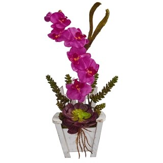 Phalaenopsis Orchid & Succulent Artificial Arrangement in Chair Planter ...