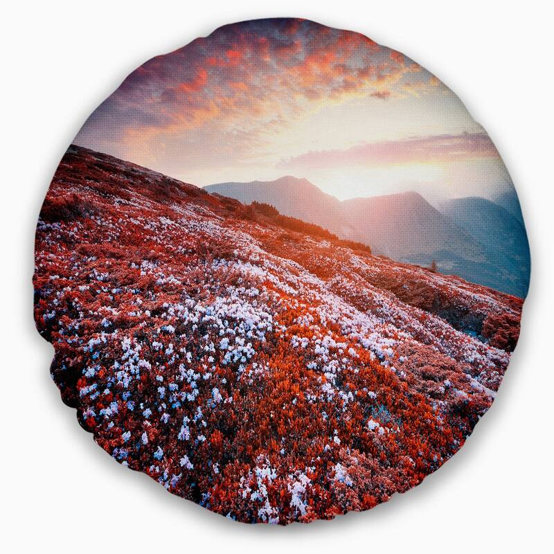 Designart 'Blooming Fields in Carpathian' Landscape Photo Throw Pillow ...