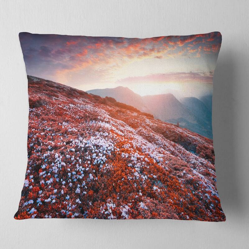 Designart 'Blooming Fields in Carpathian' Landscape Photo Throw Pillow ...
