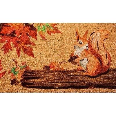 Unbelievable Mats 18"x30" Squirrel Door Mat - Overstock - 21674306