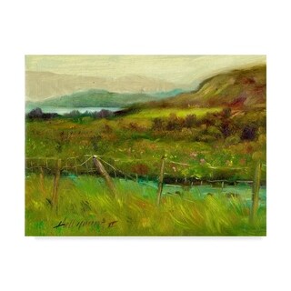 Hall Groat Ii 'Ring Of Kerry, Ireland 10' Canvas Art - Multi-color ...