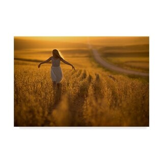 Jake Olson 'Nebraska' Canvas Art - Multi-color - Bed Bath & Beyond ...
