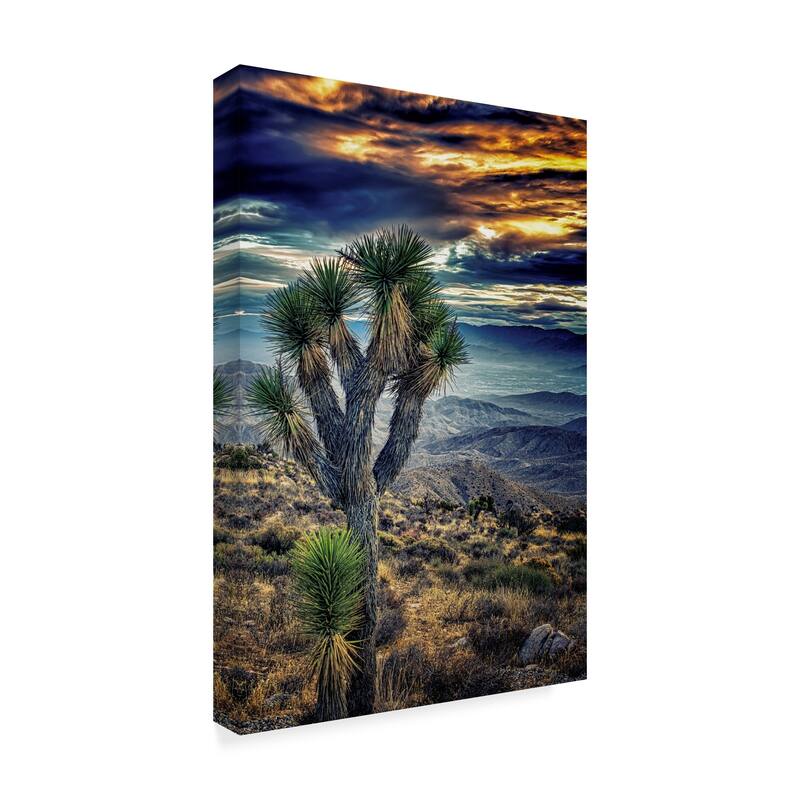 Janice Sullivan 'Joshua Tree Sunset I' Canvas Art - Multi-color ...