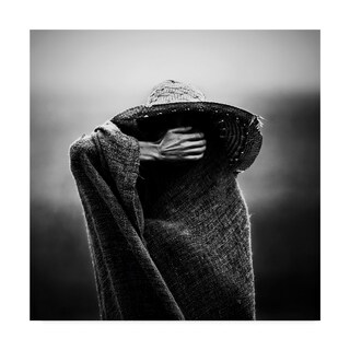 Mikhail Potapov 'Mask Bw Portrait' Canvas Art - Multi-color - Bed Bath ...