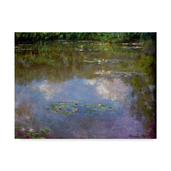 Claude Monet 'Water Lilies, The Cloud, 1903' Canvas Art - Bed Bath ...