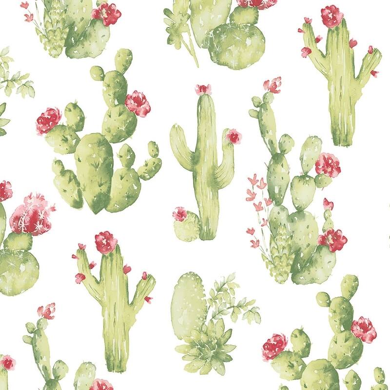 Cactus Wallpaper - Overstock - 22831436