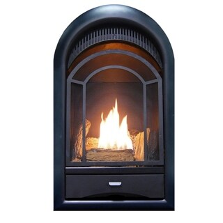 ProCom Ventless Fireplace Insert Thermostat Control Arched Door ...