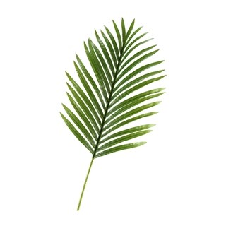 Large Hawaiian Palm Leaf (Set of 3) - Bed Bath & Beyond - 23118925