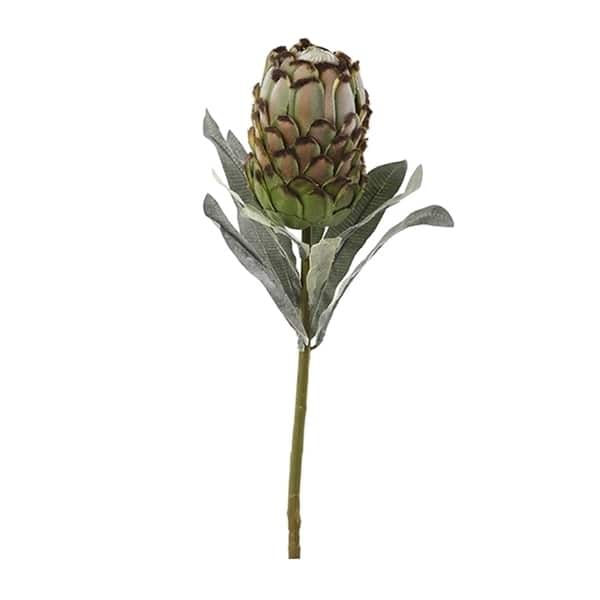 Green Protea Flower Stem - Bed Bath & Beyond - 23119104
