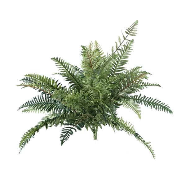 River Fern Stem - Set of 3 - Bed Bath & Beyond - 23119172