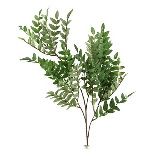 24-inch Locust Spray - Bed Bath & Beyond - 23151214