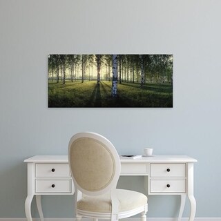 Easy Art Prints Panoramic Images's 'Birch trees by the Vuoksi River ...