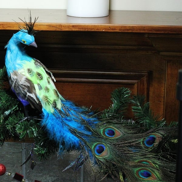 23.5" Regal Peacock Blue and Green with Closed Tail Feathers Peacock ...