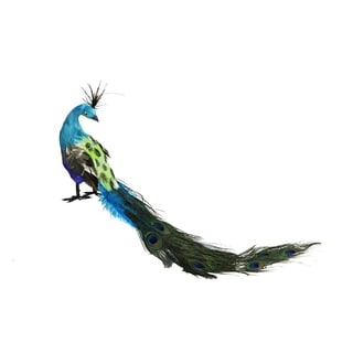 23.5" Regal Peacock Blue and Green with Closed Tail Feathers Peacock ...