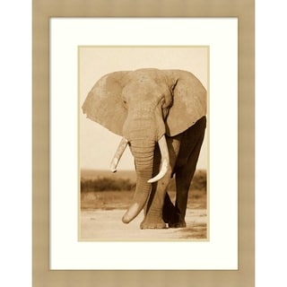 Framed Art Print 'African Elephant bull, Amboseli National Park, Kenya ...
