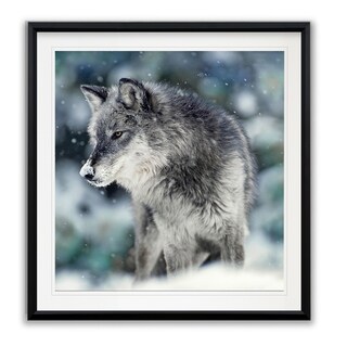 Winter Watch -Framed Giclee Print - Bed Bath & Beyond - 24253124