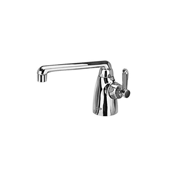 Zurn Laboratory Single Lever Faucet Chrome - Bed Bath & Beyond - 25361252