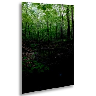 Kurt Shaffer 'Tiny Forest Falls' Floating Brushed Aluminum Art - Bed ...