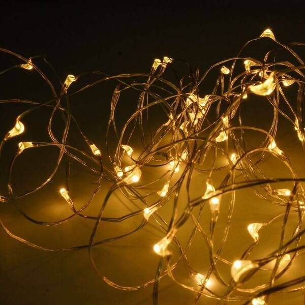 Fuji Labs Remote Controlled Battery Powered 100 LED 10 Meter Warm White ...