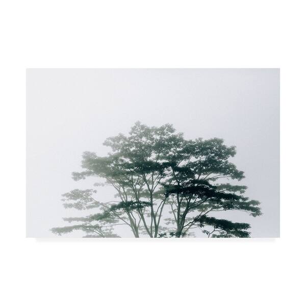 Bendik Johan Stalsett 'Timor Leste' Canvas Art - Bed Bath & Beyond ...