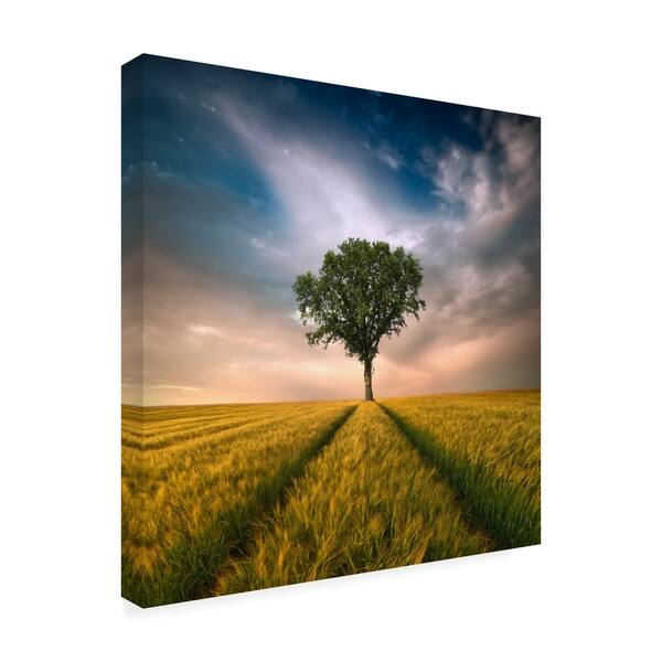 Piotr Krol Bax 'One Single Tree' Canvas Art - Bed Bath & Beyond - 25619950