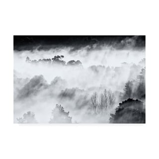 Antonio Carrillo Lopez 'Dark Misty Mountains' Canvas Art - Bed Bath ...