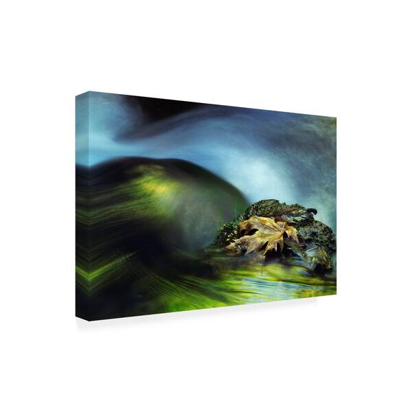 Maria Kaimaki 'Fallen Lives' Canvas Art - Bed Bath & Beyond - 25620956