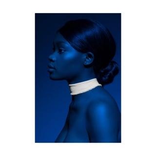 Johan Koops 'Blue Portrait' Canvas Art - On Sale - Bed Bath & Beyond ...