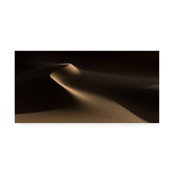 Xenia Ivanoff Erb 'Natural Curves Namib Desert' Canvas Art - Bed Bath ...