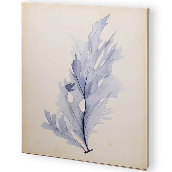 Mercana Watercolor Sea Grass VI (44 x 55) Made to Order Canvas Art ...