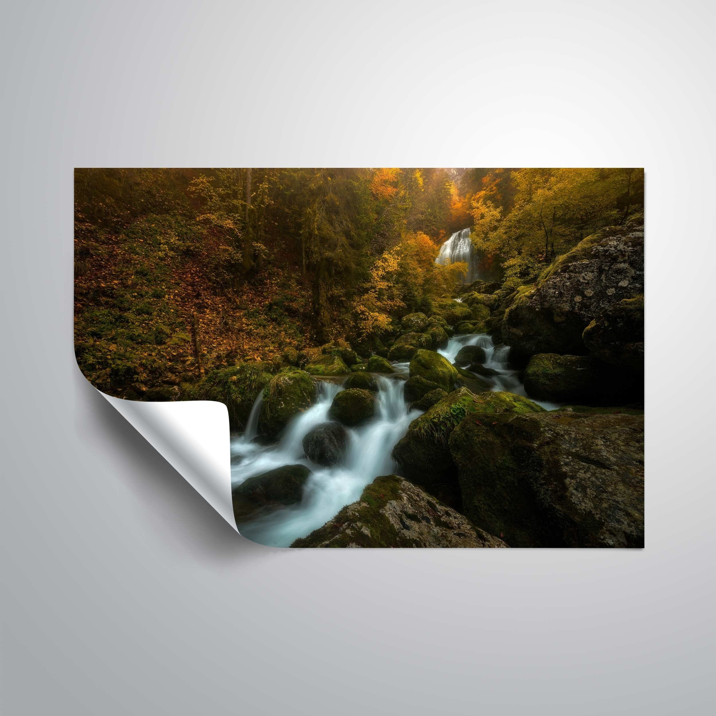 ArtWall "Treasure Island Cave" Removable Wall Art Mural - Bed Bath ...