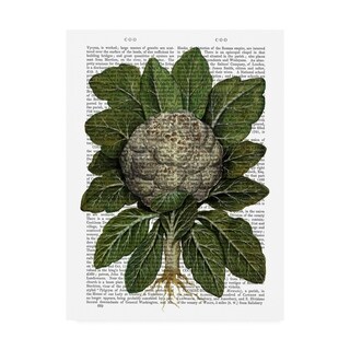 Fab Funky Cauliflower Book Canvas Art - Bed Bath & Beyond - 26171630