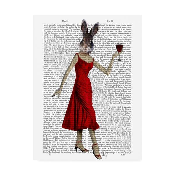 Fab Funky Rabbit In Red Dress Canvas Art - Bed Bath & Beyond - 26171642