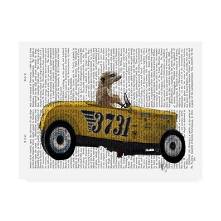 Fab Funky Meerkat In Hot Rod Canvas Art - Bed Bath & Beyond - 26171678