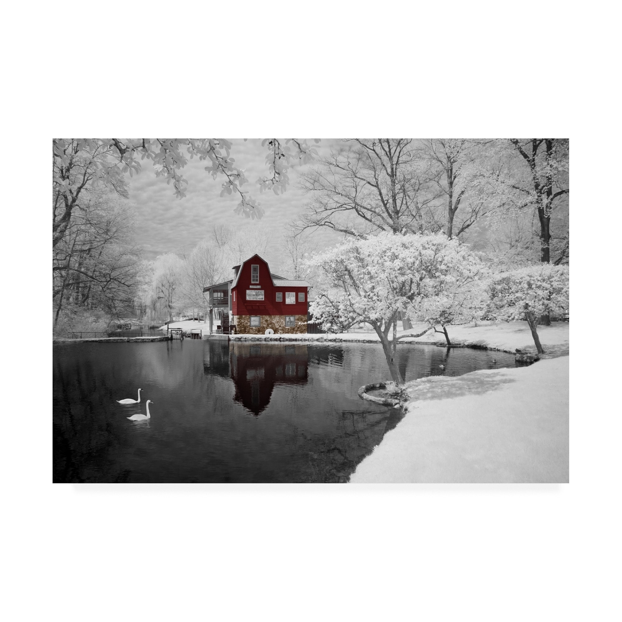 Monte Nagler Forest Under Sky Sepia Tone Canvas Art - Bed Bath & Beyond ...