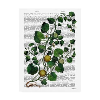 Fab Funky Squash Vine 4 Canvas Art - Bed Bath & Beyond - 26172154