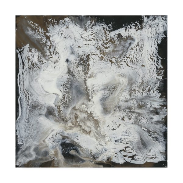 Lila Bramma 'Transmutation I' Canvas Art - Bed Bath & Beyond - 26261805