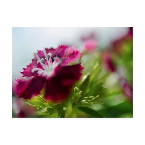 Gillian Hunt 'Glorious In Red I' Canvas Art - Bed Bath & Beyond - 26262300