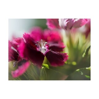 Gillian Hunt 'Glorious In Red Iv' Canvas Art - Bed Bath & Beyond - 26262499