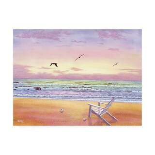 Patrick Sullivan 'Beach Colors' Canvas Art - Bed Bath & Beyond - 26274455
